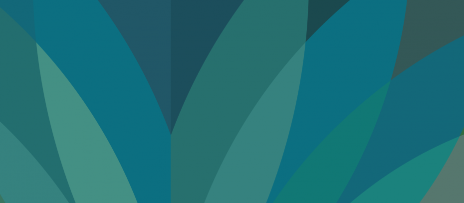 header background image - Contemporary Yoga